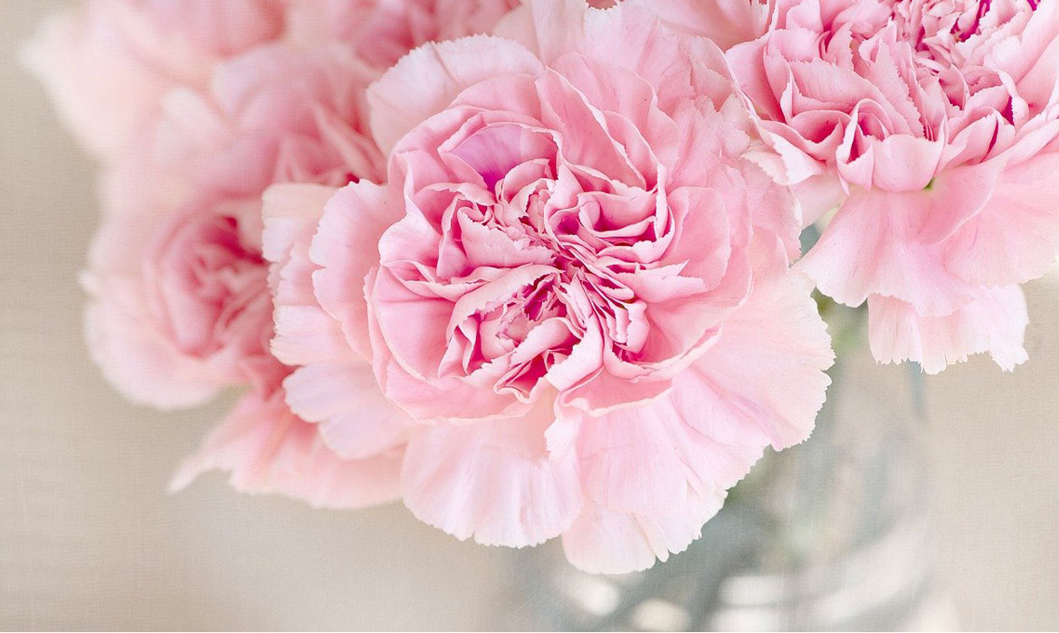 Love Flowers Free Inspirational Art Gift Ideas To Shop The Arc
