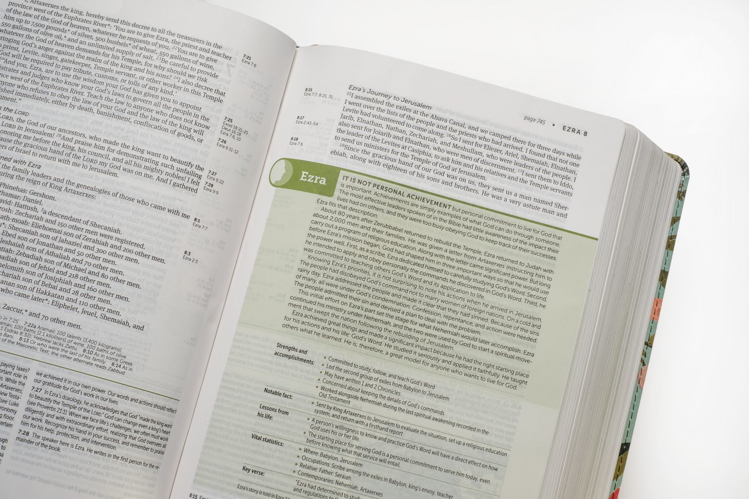 NLT Study Bible – Tyndale Bibles